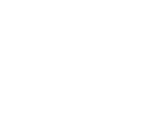 Welcome to Cone Marshall - LATAM